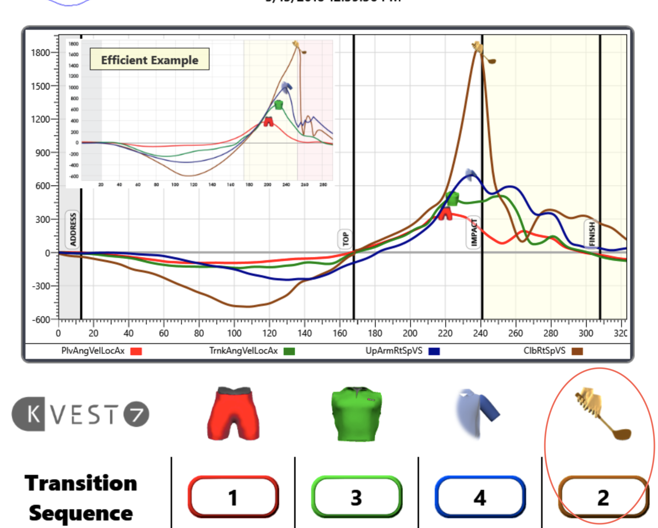 Sample Bio-mechanics Summary
